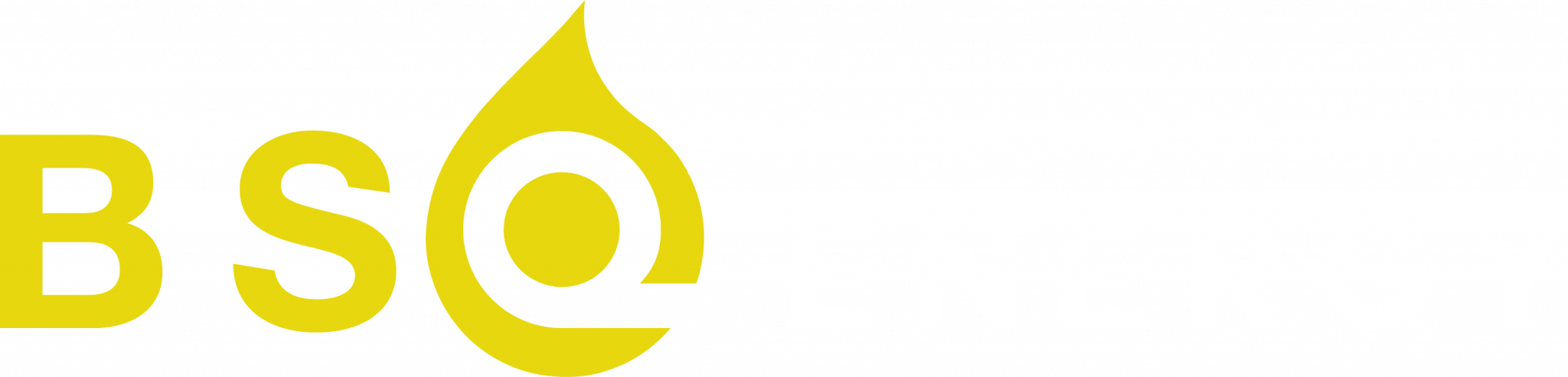 About Us – BSQ Energy